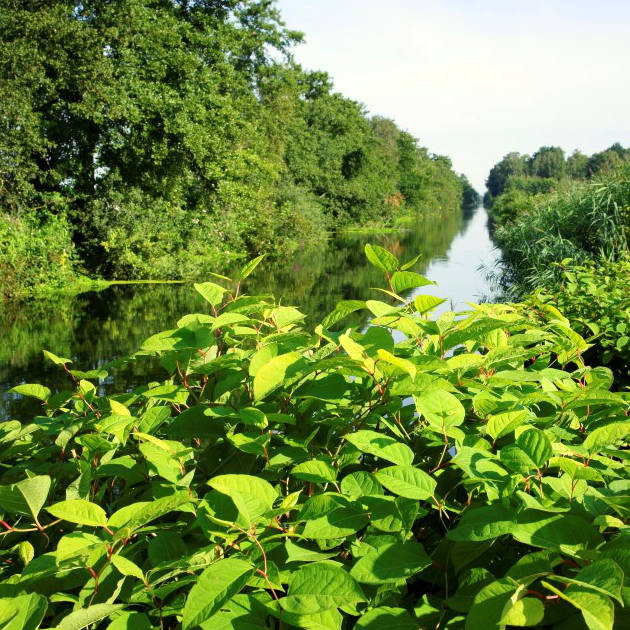 Commercial & Residential Landscapers Holywood, Co. Down