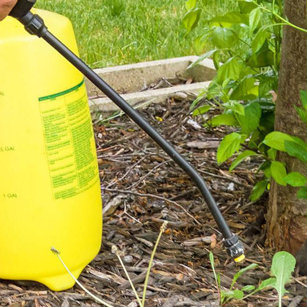 Commercial & Residential Landscapers Holywood, Co. Down